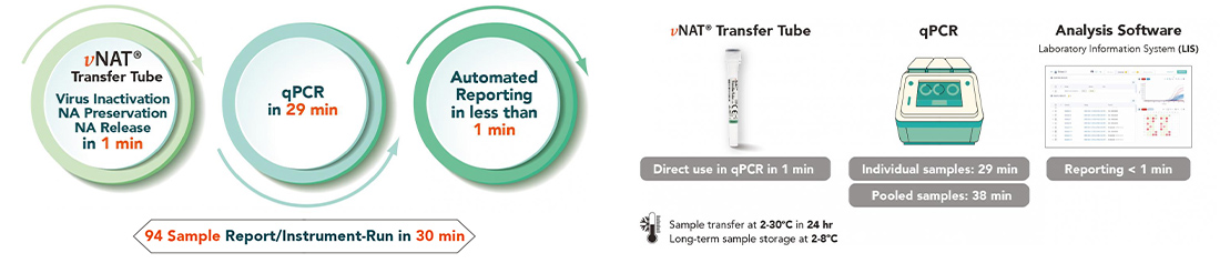 BİOEKSEN | Molecular Diagnostics